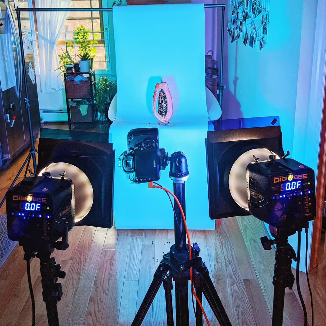 COLOR SHADOW CHALLENGE | WINNER – BUFF BASICS