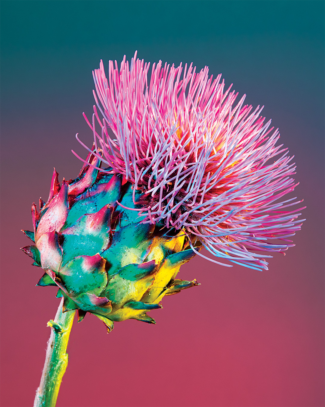 THE SETUP BEHIND THE SHOT – LINDSEY RICKERT – BUFF BASICS