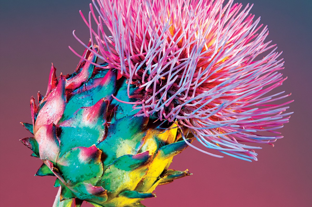 THE SETUP BEHIND THE SHOT – LINDSEY RICKERT – BUFF BASICS